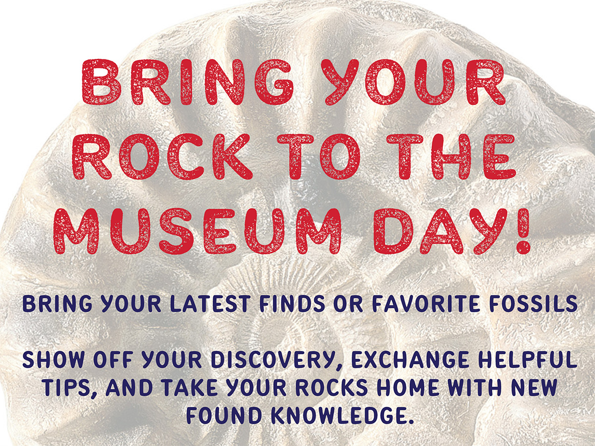 Bring Your Rock/Fossil Day - The Sherman Museum